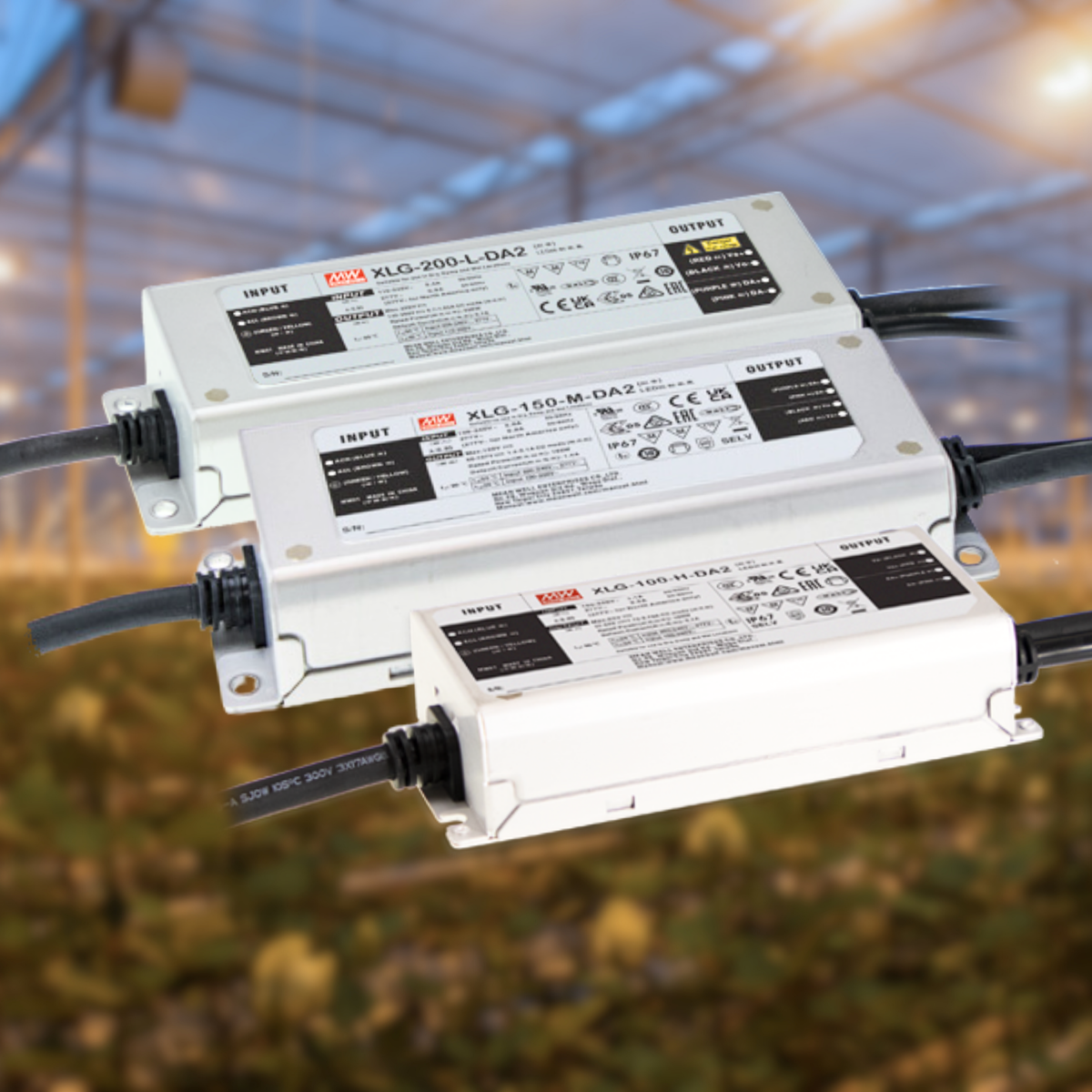 New addition to XLG series(XLG DA2 series) – Wellforces Ltd.